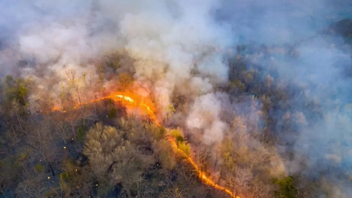 Wildfires Emit Far More Air Pollutants Than Previously Estimated ...